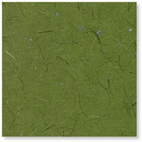 Checkerboard Envelope Linings (L)